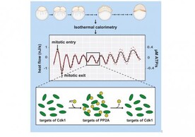 Welcome | Molecular Biophysics and Biochemistry